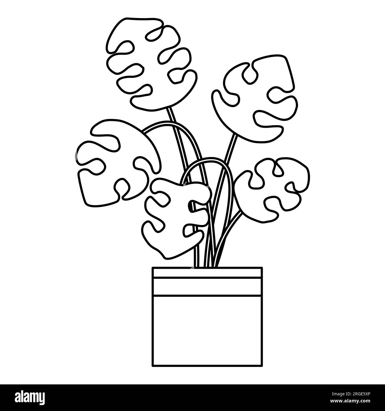 Monstera plant in pot, home interior element, doodle style flat vector ...