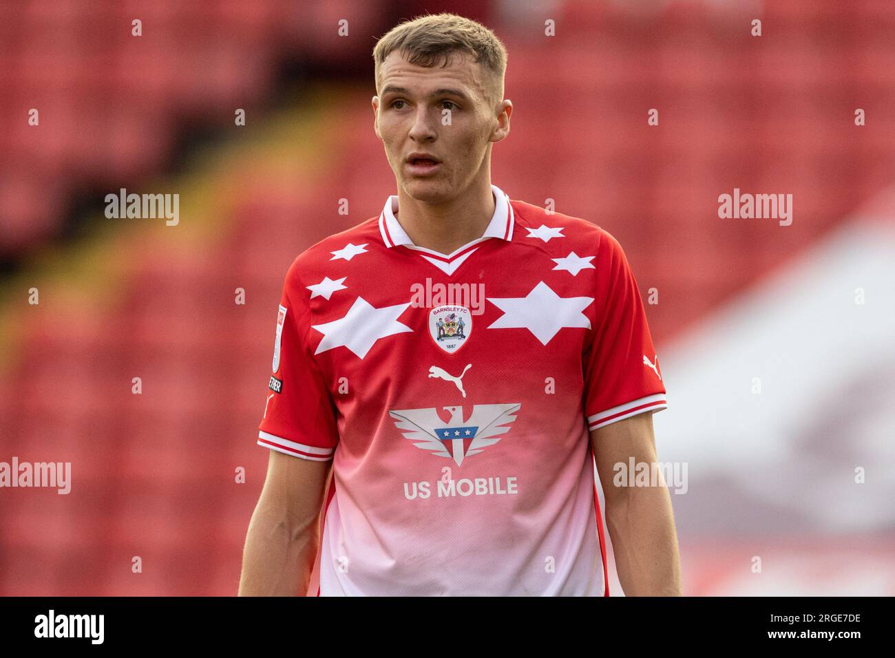 English shepard hi-res stock photography and images - Alamy