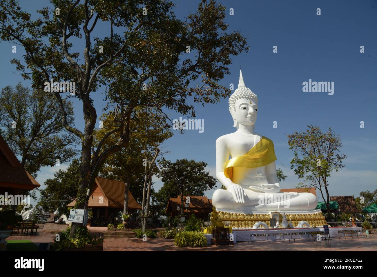 Pha Phrom Phumi Palo it is a large white Buddha image in a sitting ...