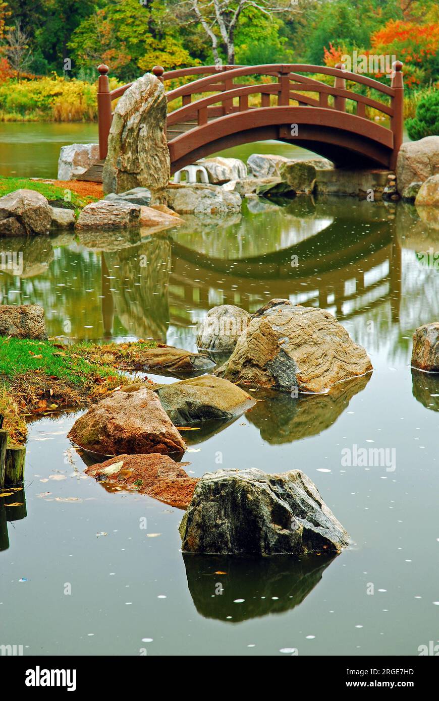 Autumn colors border a peaceful Japanese style garden Stock Photo - Alamy