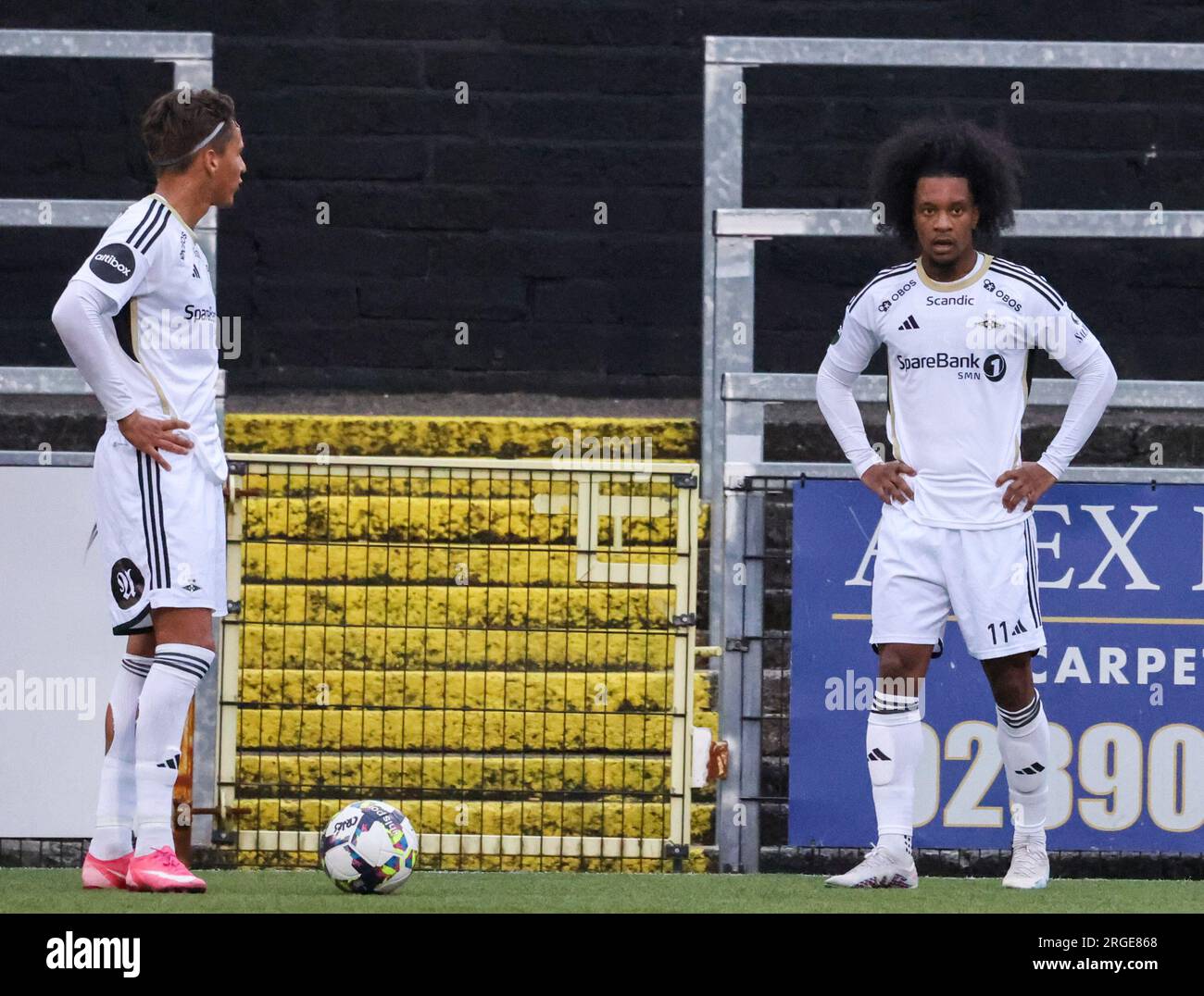 Seaview stadium hi-res stock photography and images - Alamy