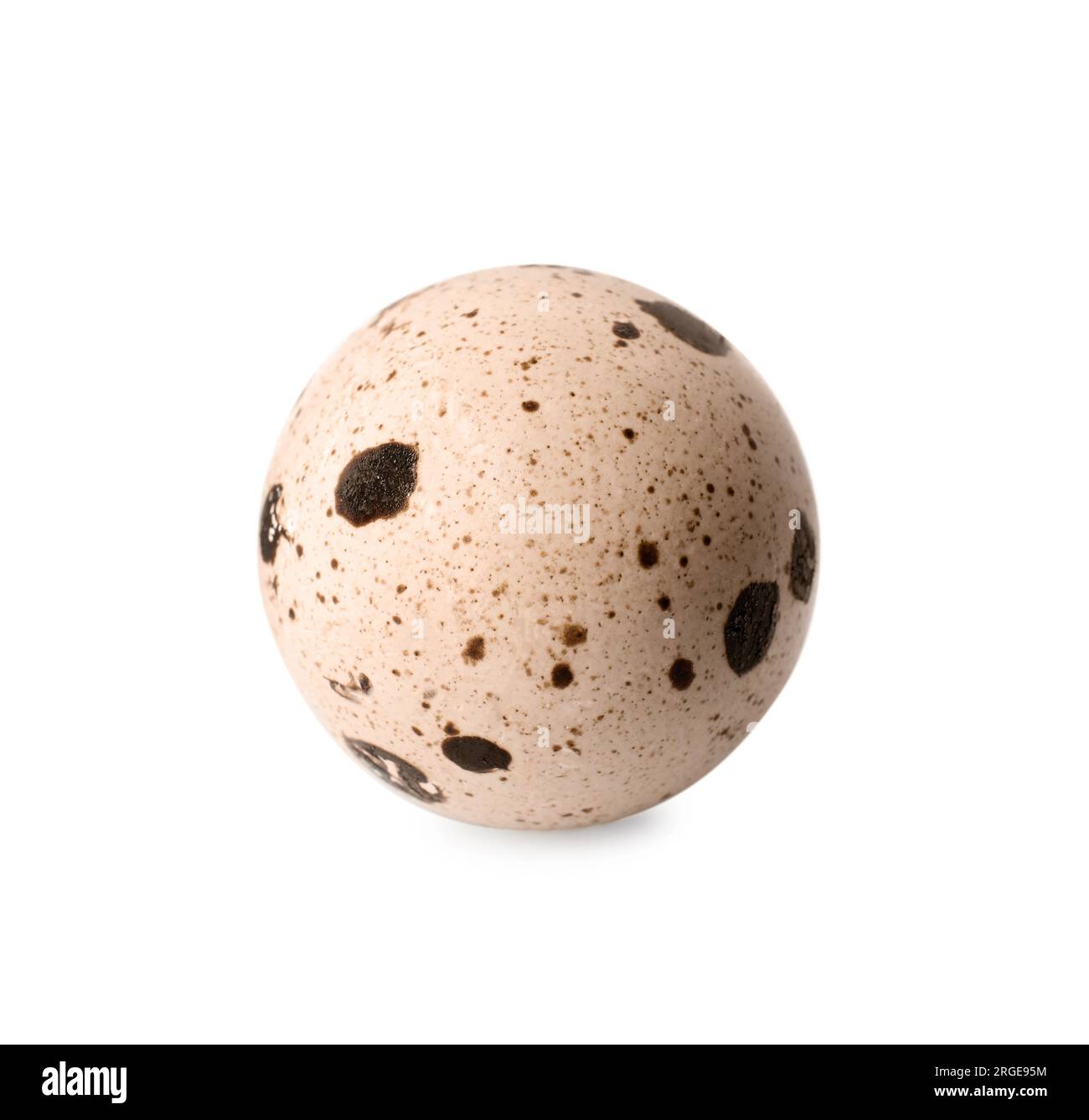 One speckled quail egg isolated on white Stock Photo - Alamy