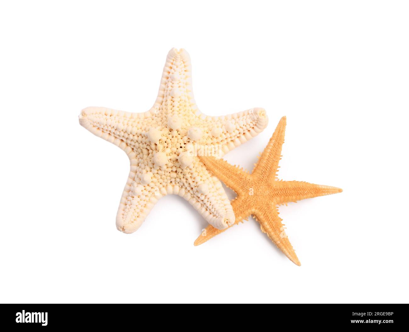 Beautiful sea stars (starfishes) isolated on white, top view Stock ...