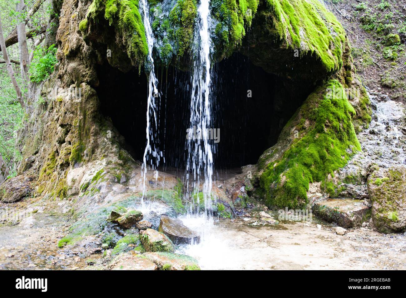 waterfall in the spring forest Stock Photo - Alamy