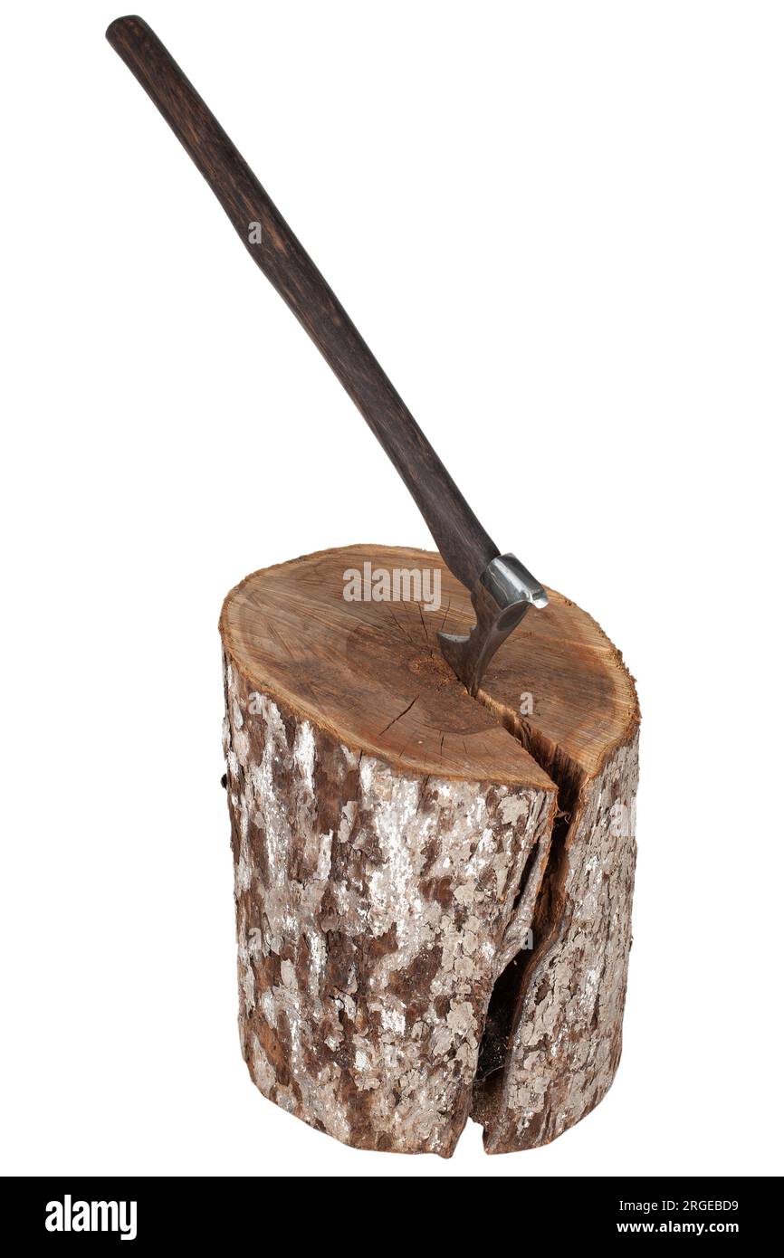 antique axe with wooden handle in wood log on white background Stock ...
