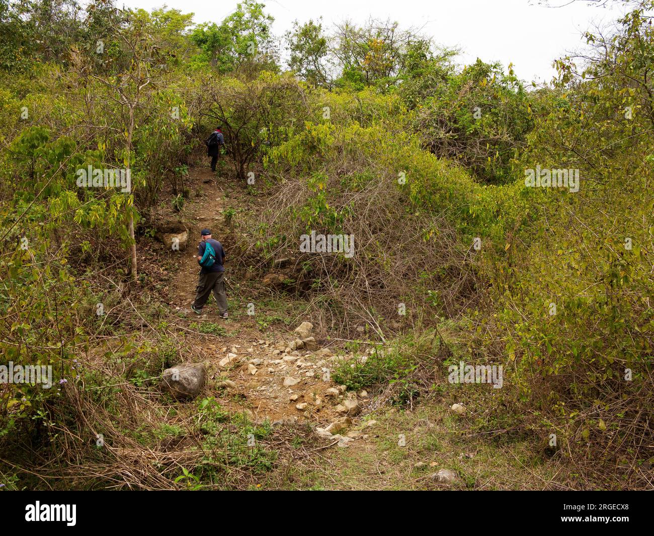 First ravine on the path going from the mango tree at Thak village to ...