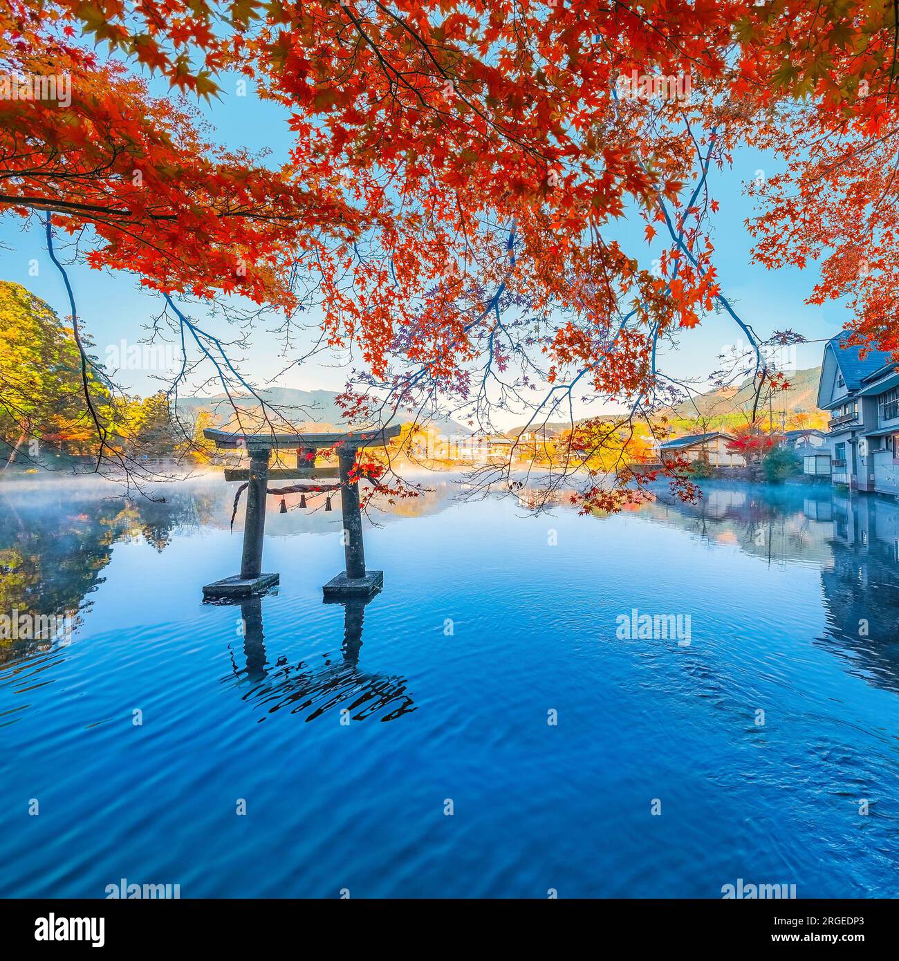 Yufuin, Japan - Nov 27 2022: Tenso-jinja shrine at lake Kinrin, is one ...