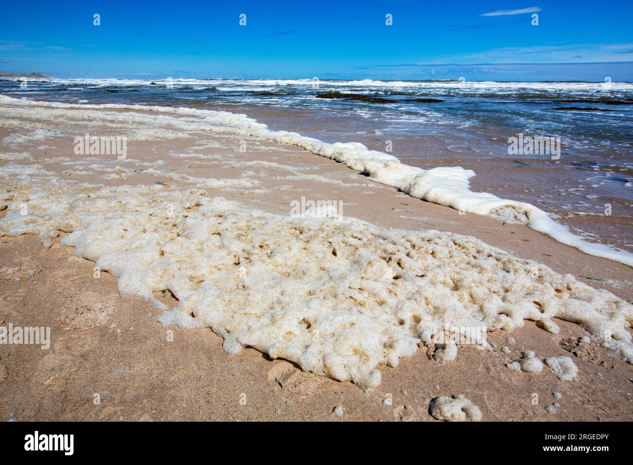 Foam on beach Stock Photo - Alamy