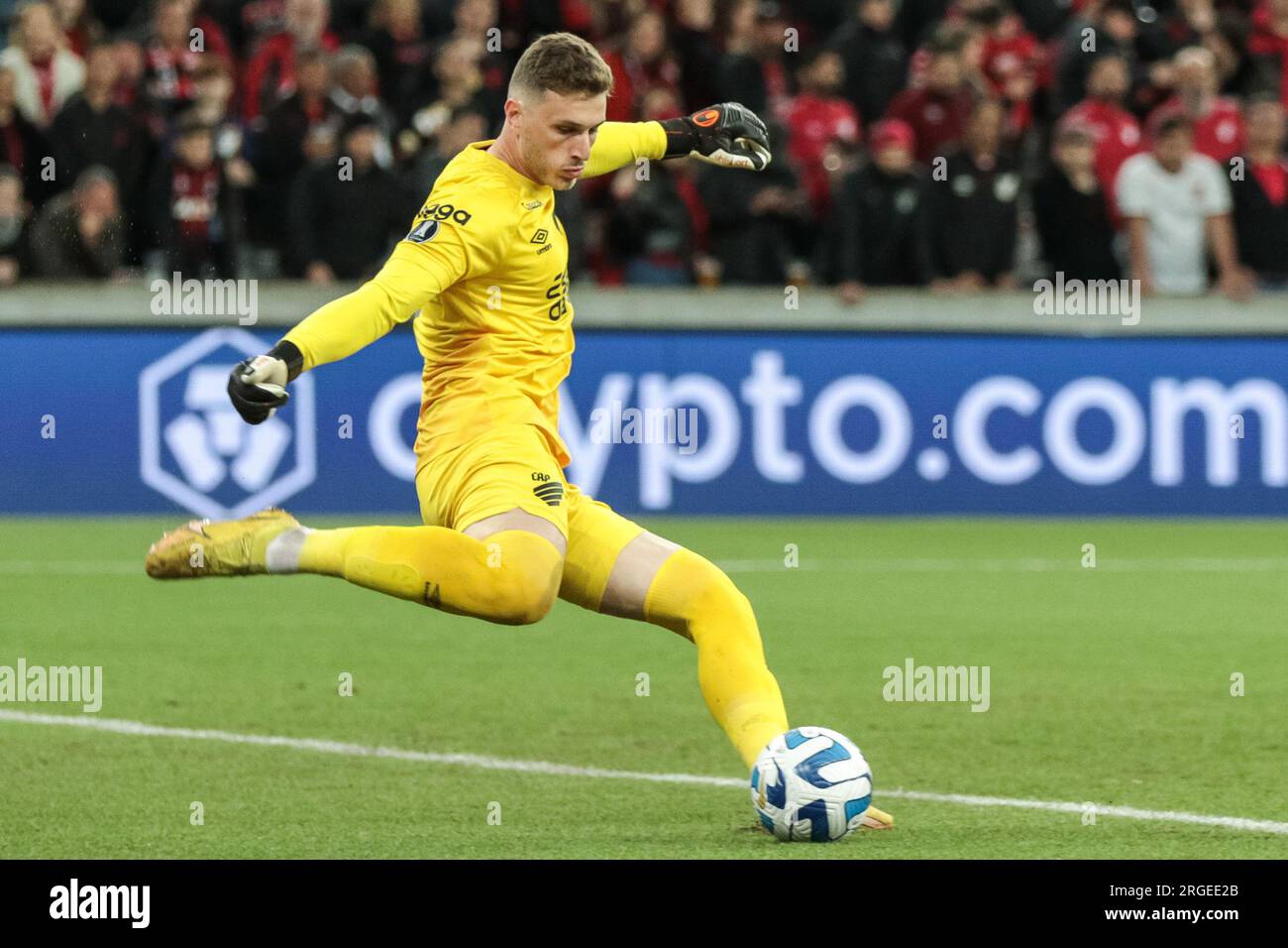 Curitiba, Brazil. 08th Aug, 2023. PR - CURITIBA - 08/08/2023 ...