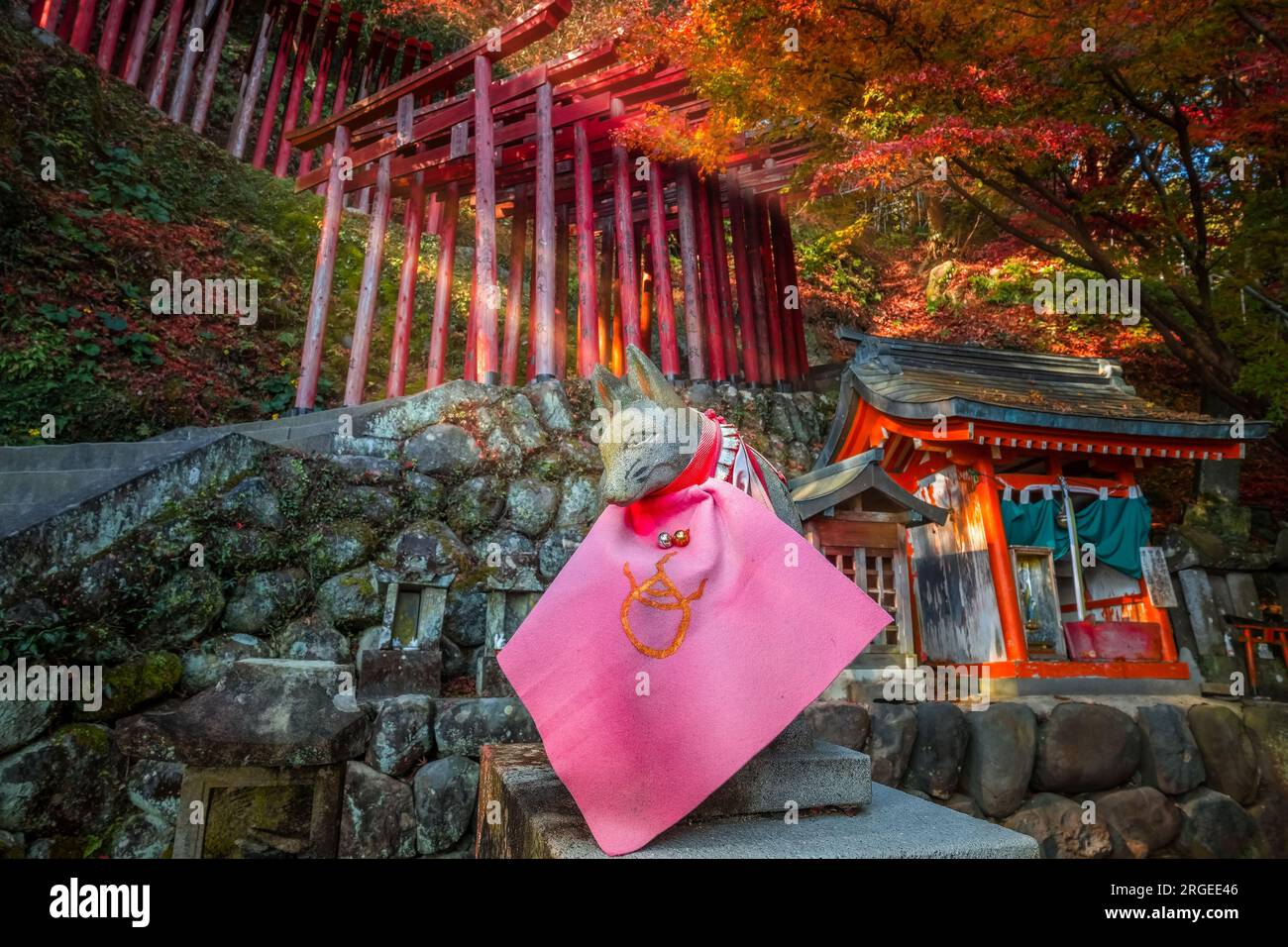 Saga, Japan - Nov 28 2022: Yutoku Inari shrine in Kashima City, Saga ...