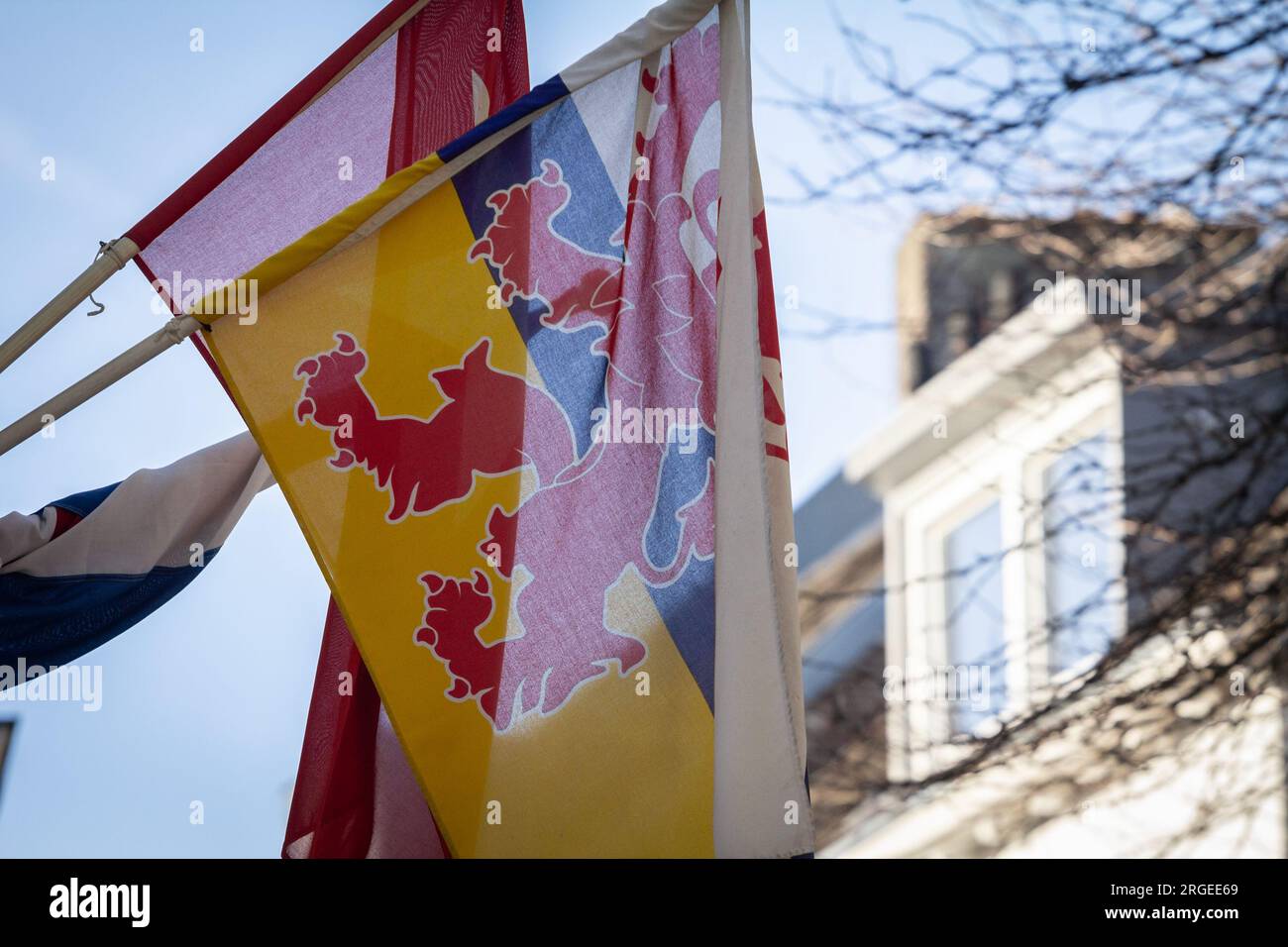 Vlag van limburg hi-res stock photography and images - Alamy