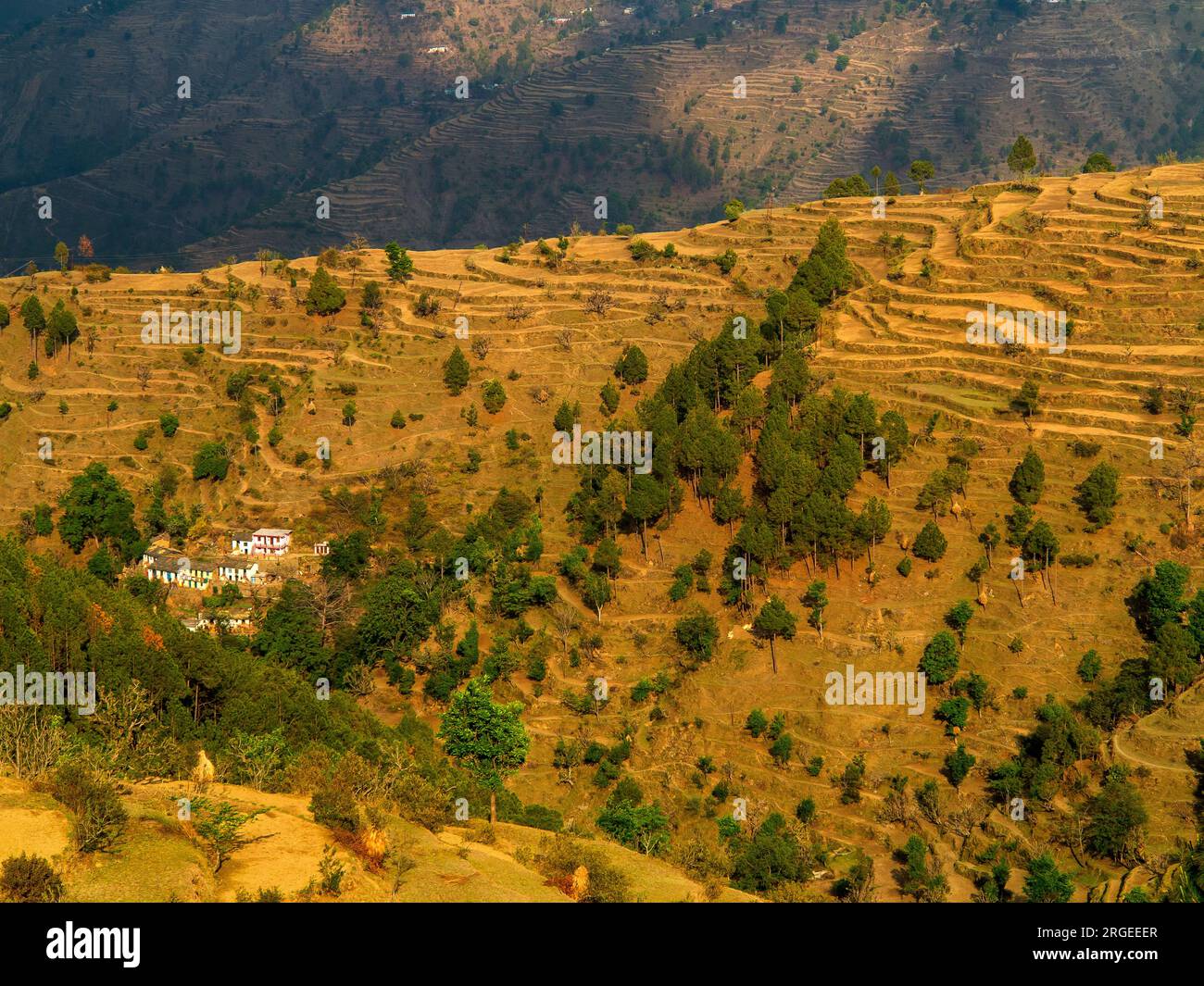 Sanouli village, Kumaon Hills, Uttarakhand, India Stock Photo - Alamy
