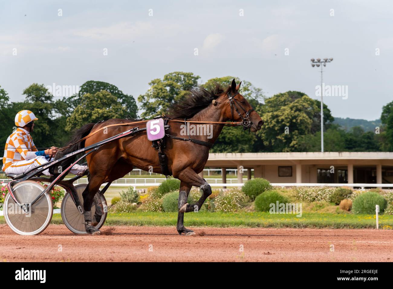 Quinté + horse race. Harnessed trot, at the racecourse of Enghien-les ...