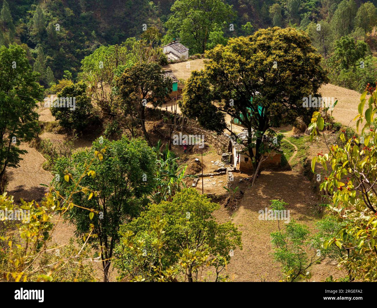 Steep hills at Sanouli Village, Kumaon Hills, Uttarakhand, India Stock ...