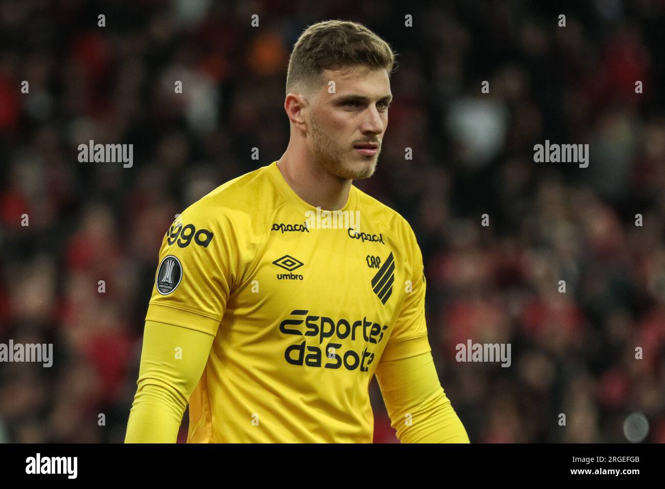 Curitiba, Brazil. 08th Aug, 2023. PR - CURITIBA - 08/08/2023 ...