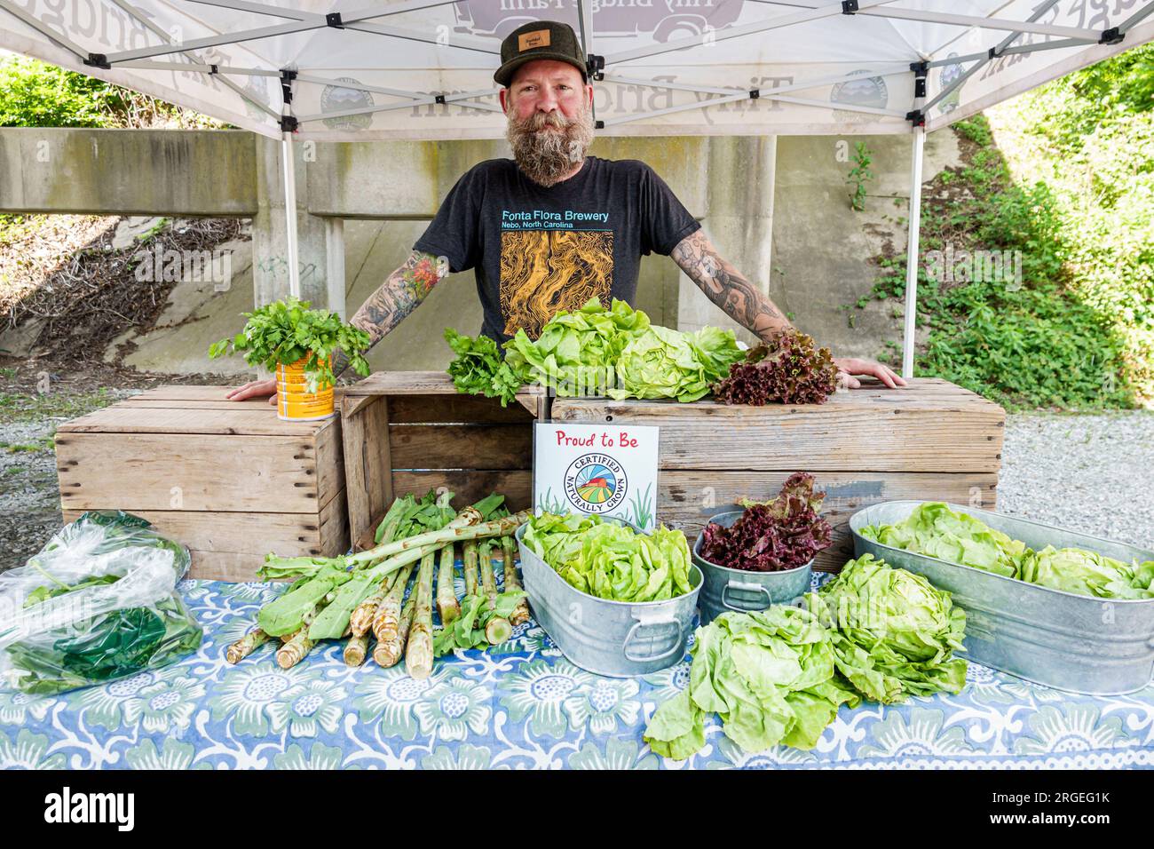 Lettuce salad greens produce locally grown hi-res stock photography and ... Lettuce salad greens produce locally grown hi-res stock photography and ...
