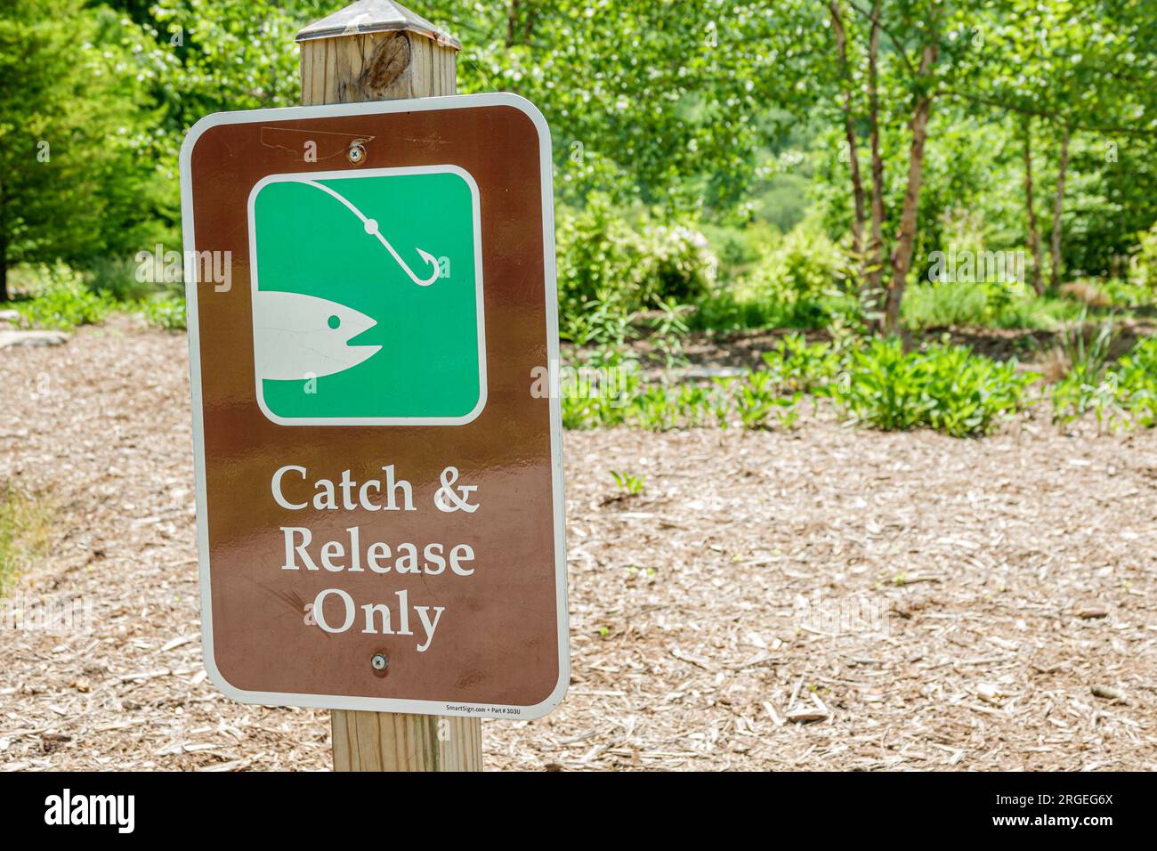 Laurel Park North Carolina,Rhododendron Lake Nature Park,catch & release only fishing,sign ...