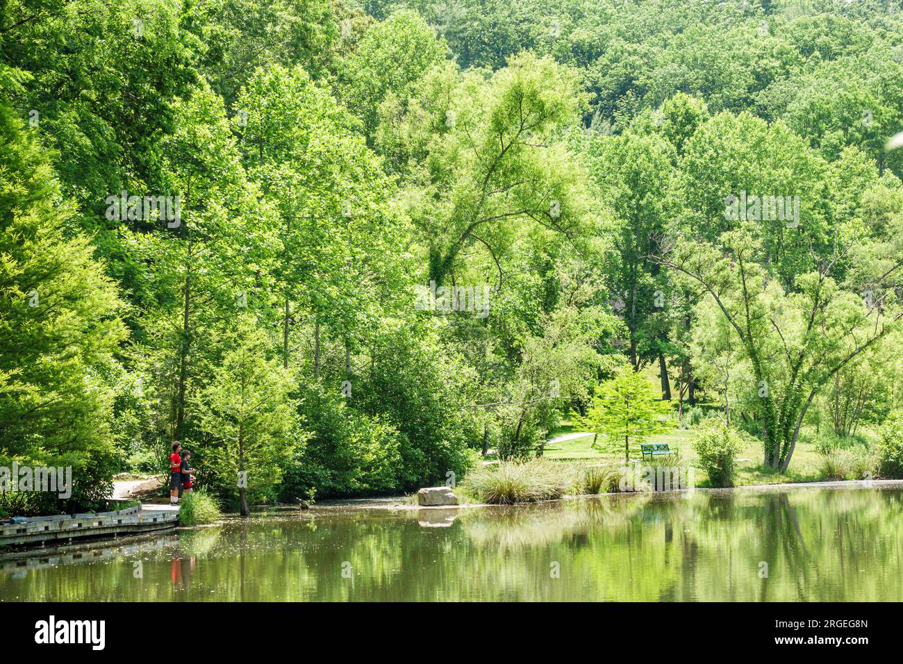 Laurel Park North Carolina,Rhododendron Lake Nature Park,Appalachian ...