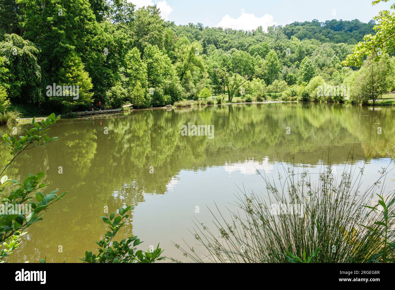 Laurel Park North Carolina,Rhododendron Lake Nature Park,Appalachian ...