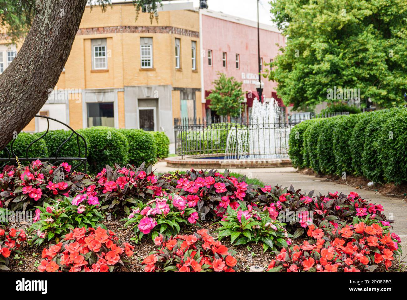 Fountains Carolina Forest
