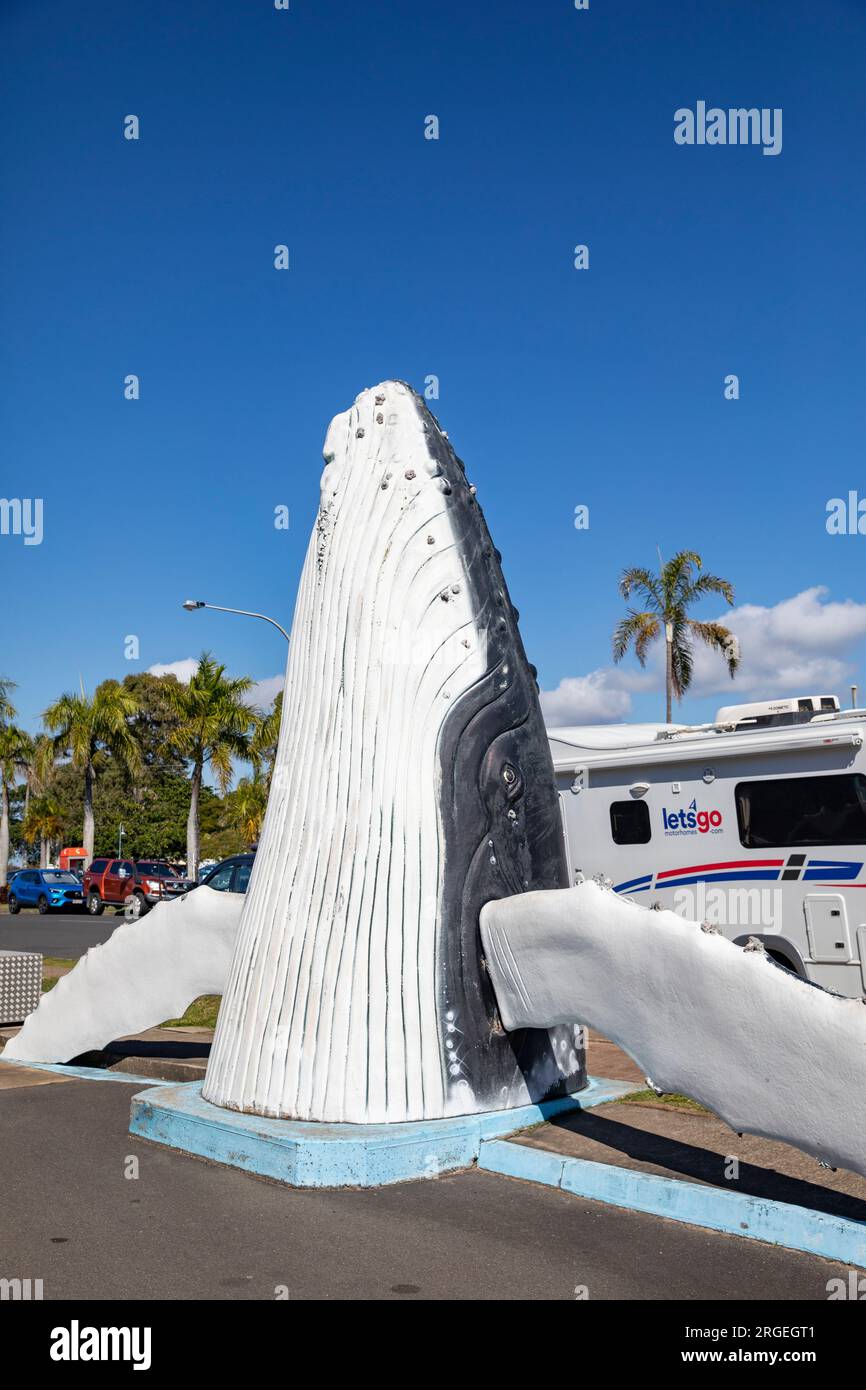 Hervey Bay in Queensland and Whale Bay marina with sculpture model of ...