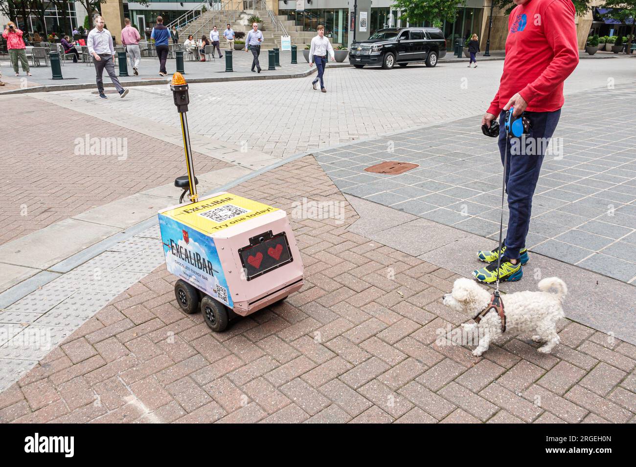Robot walking dog hi-res stock photography and images - Alamy