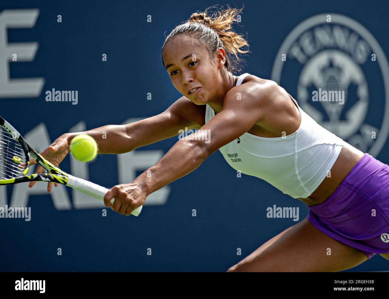 Peyton stearns hi-res stock photography and images - Alamy