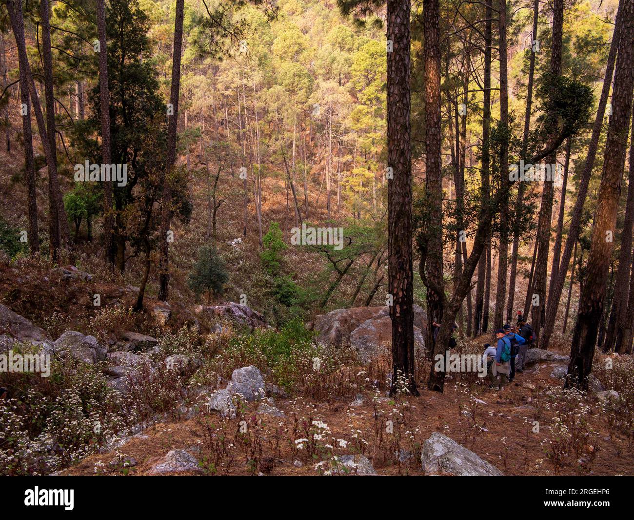 Deep ravines near Kala Agar, made famous by Jim Corbett in his book ...