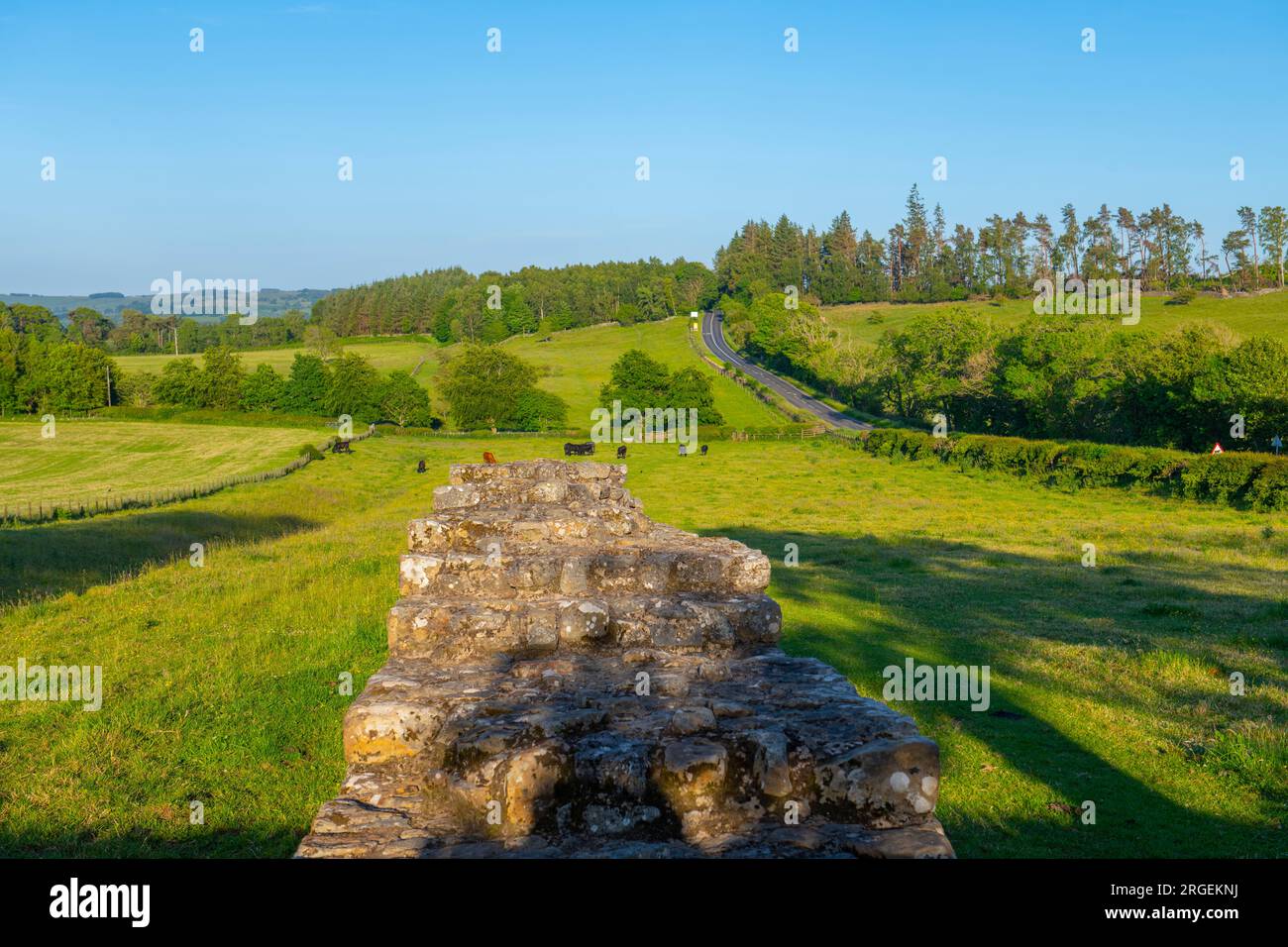 Black Carts Turret in Hadrian's Wall ruin near village of Chollerford ...