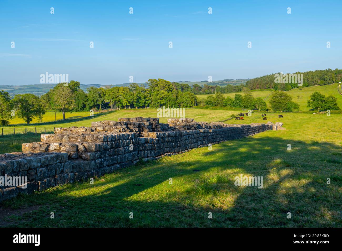 Black Carts Turret in Hadrian's Wall ruin near village of Chollerford ...