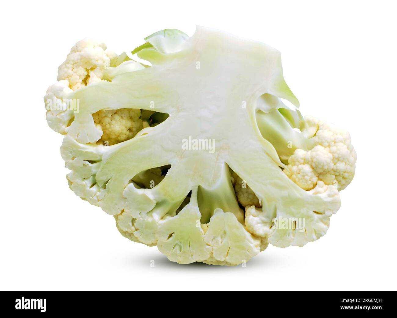 Single cauliflower isolated on whiter background Stock Photo - Alamy