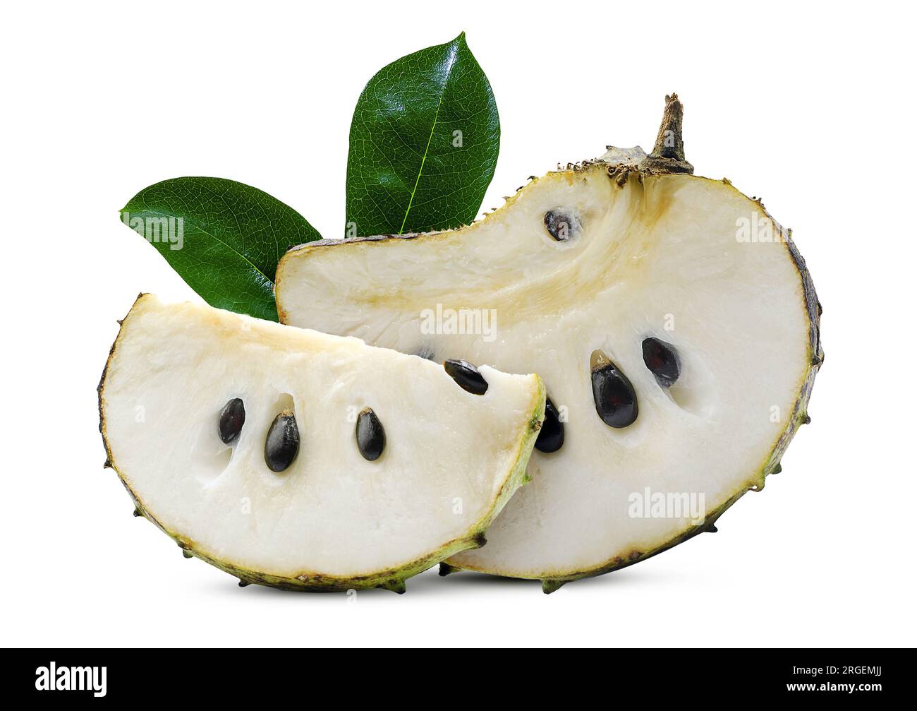 Soursop or custard apple fuite isolated on white background Stock Photo ...