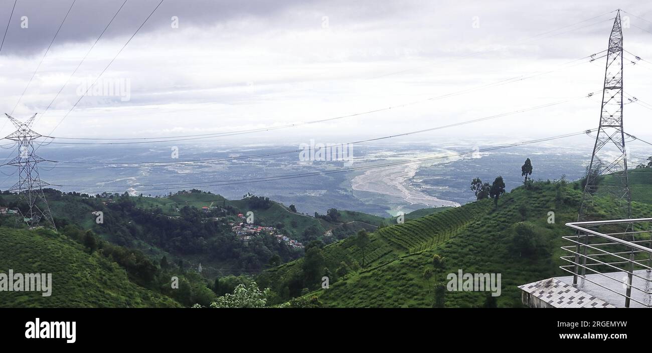 lush green tea garden and mechi river valley from tingling view point ...