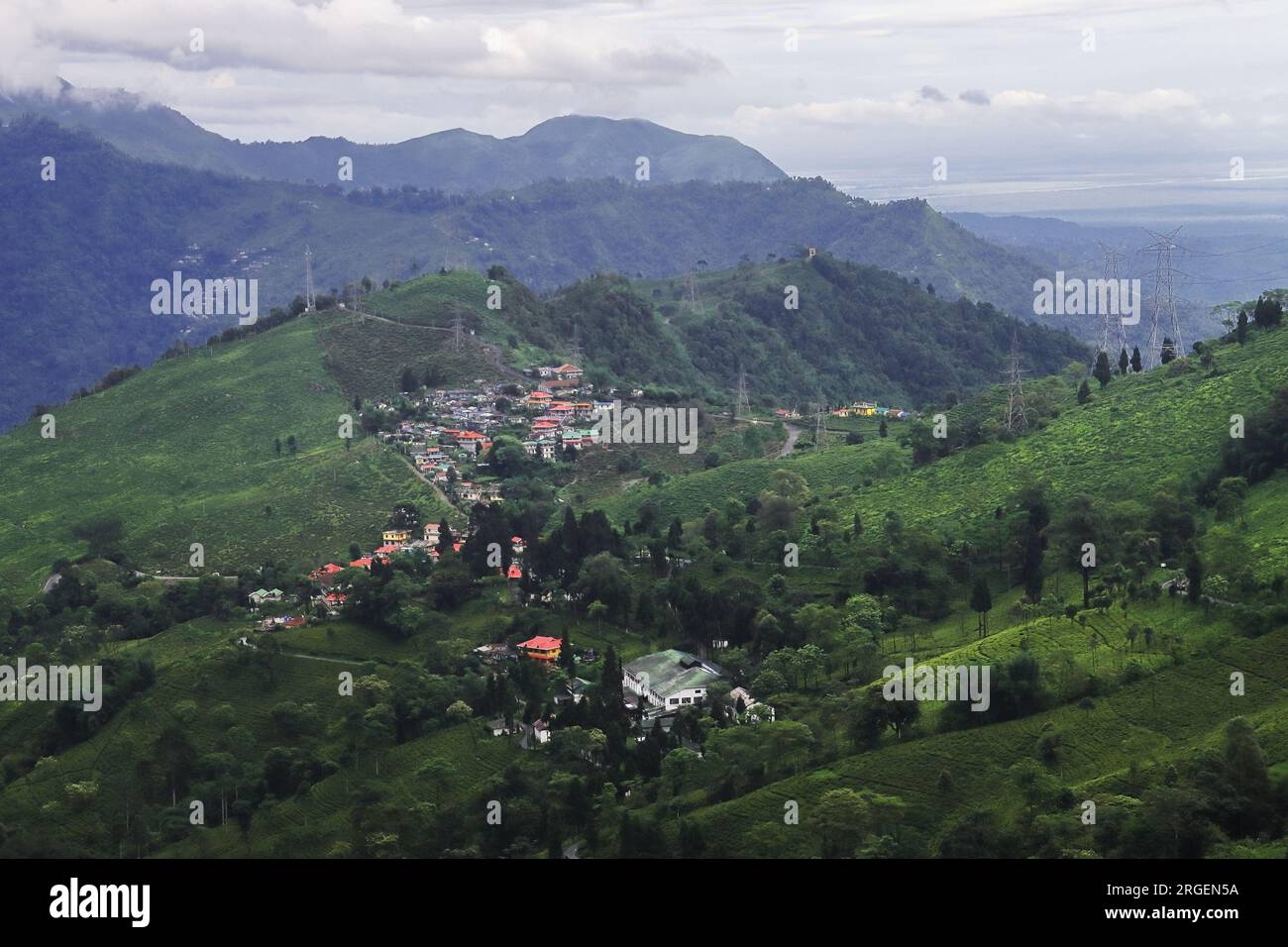 lush green tea garden and mountainscape of himalayan foothills from ...