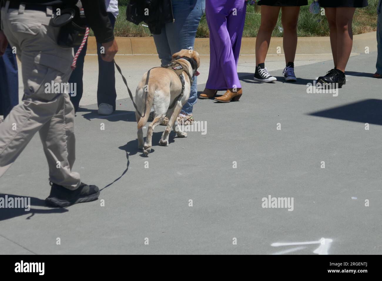 Inglewood, California, USA 8th August 2023 A general view of atmosphere ...