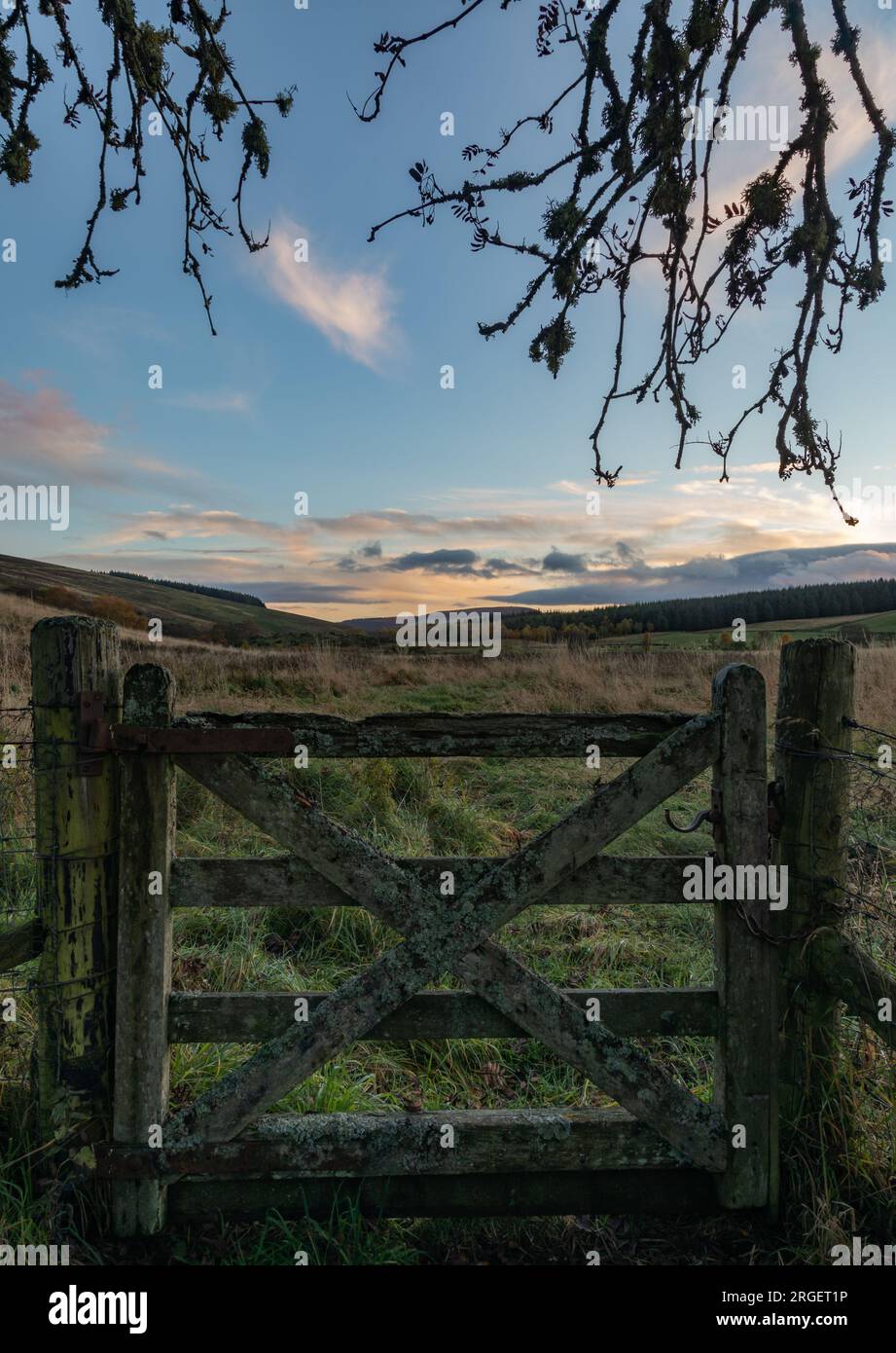 Covered gate hi-res stock photography and images - Alamy