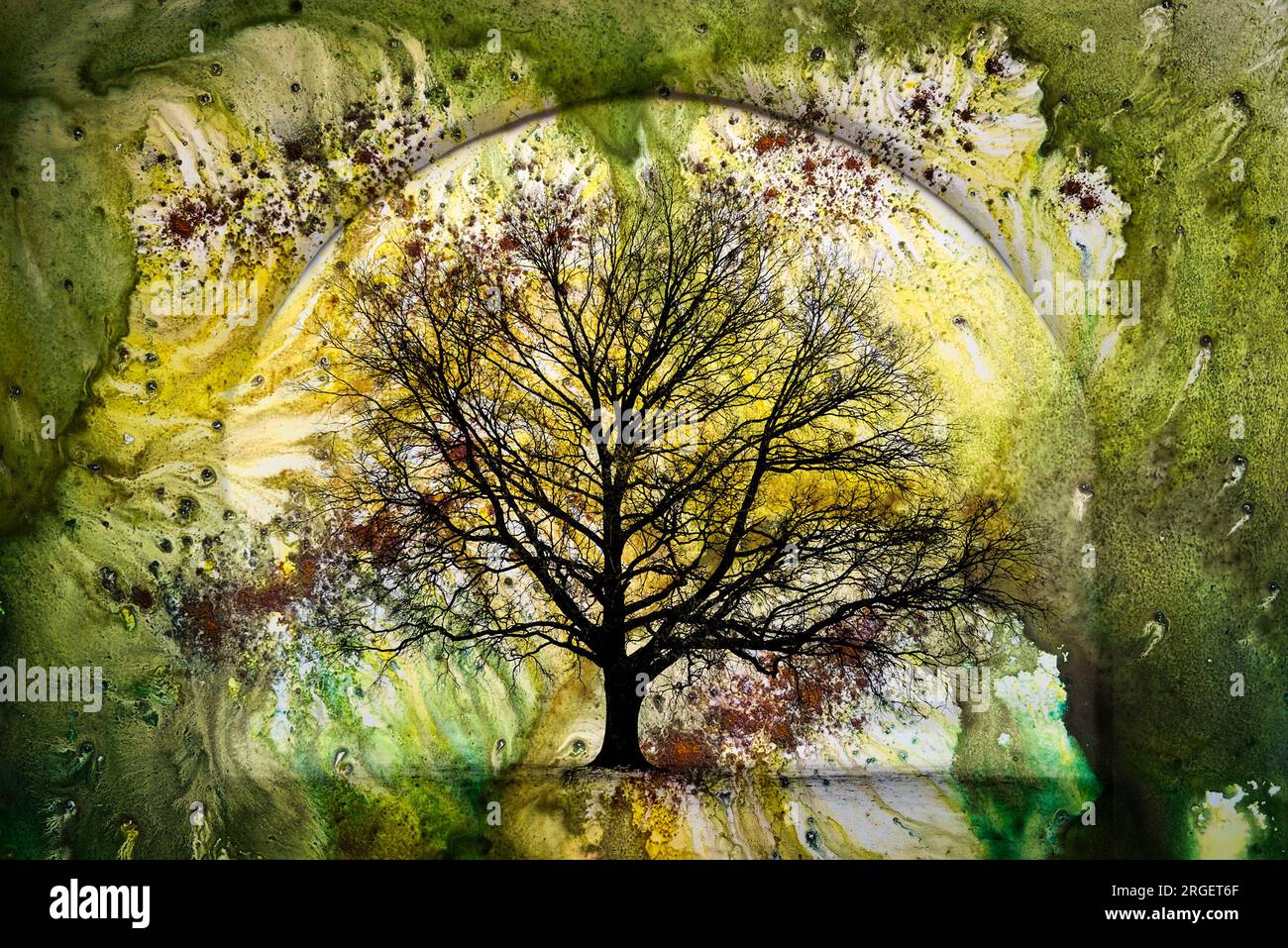 An artistic vision of a tree in winter enclosed by an arch with ...