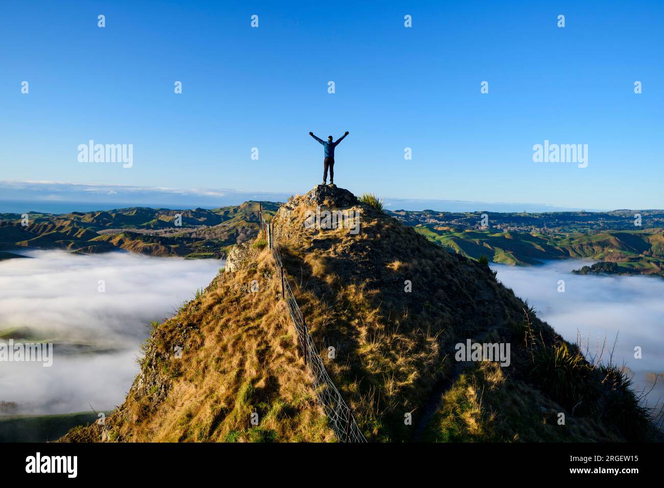 Hiker on top of Te Mata Peak, New Zealand Stock Photo - Alamy