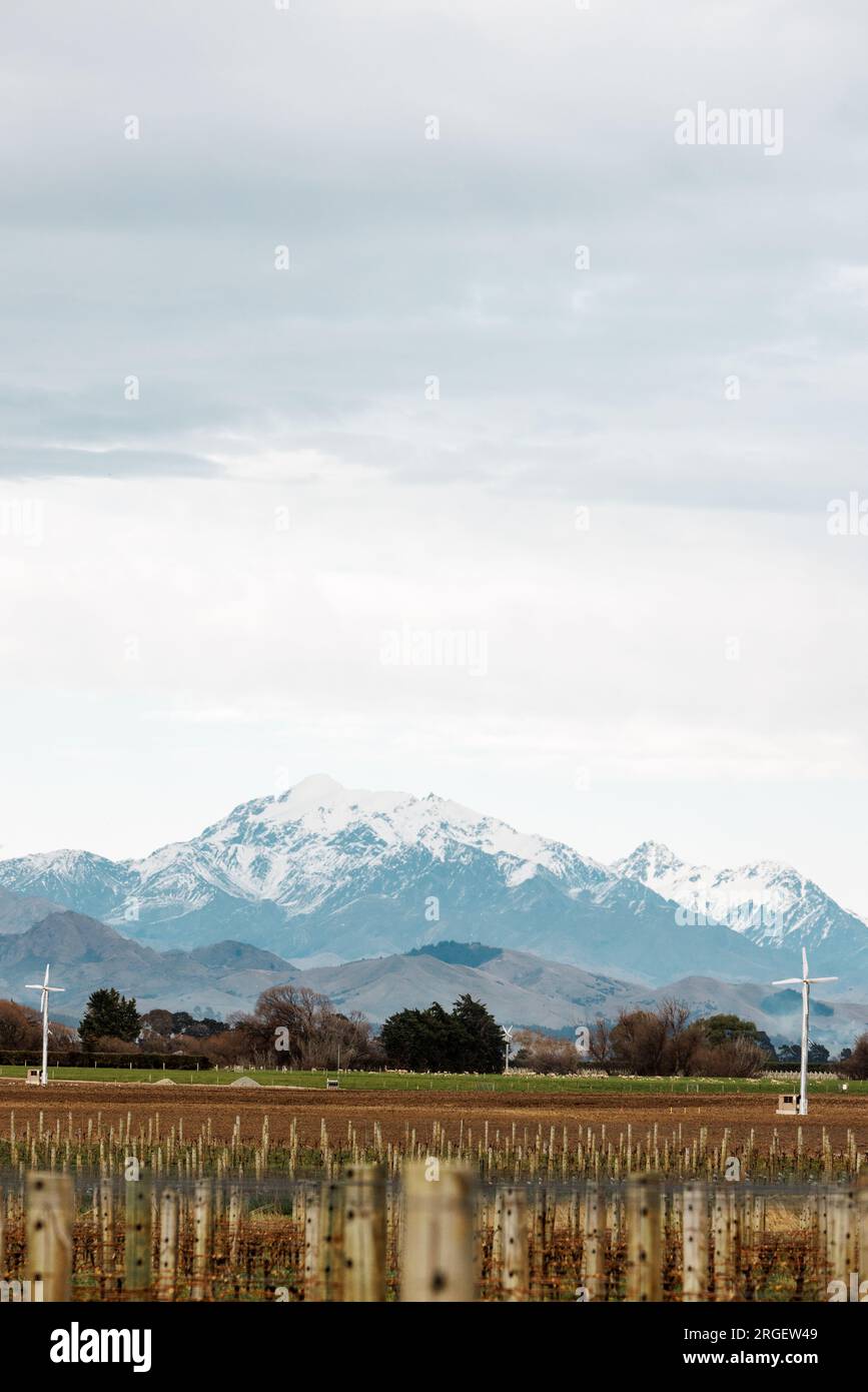 Blenheim new zealand hi-res stock photography and images - Alamy