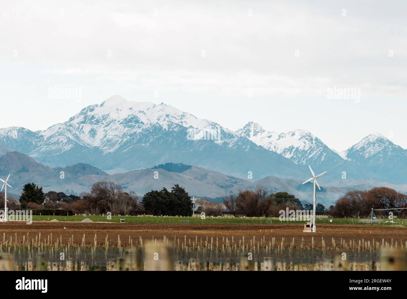 Blenheim new zealand hi-res stock photography and images - Alamy