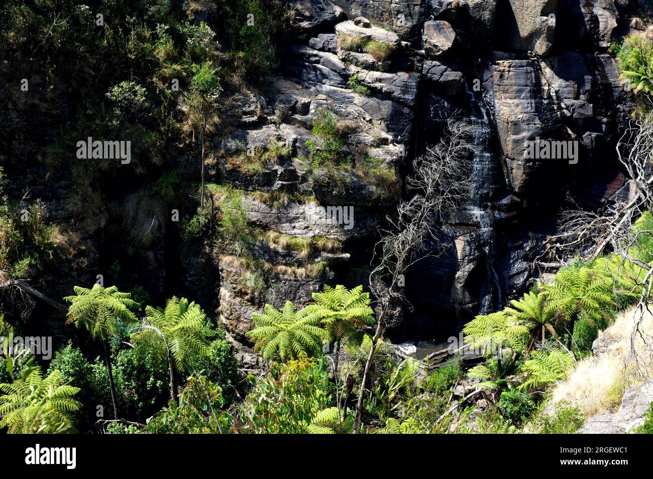 An exposed rockface at Kinglake National Park in Victoria, Australia ...