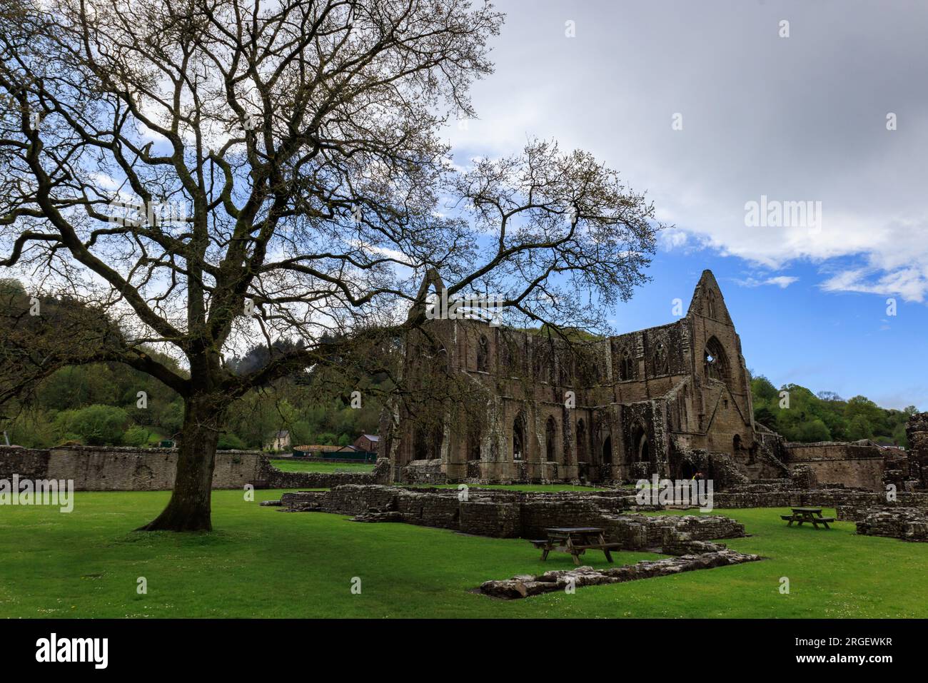 Tintern Abbey, Monmouthshire, Wales Stock Photo - Alamy