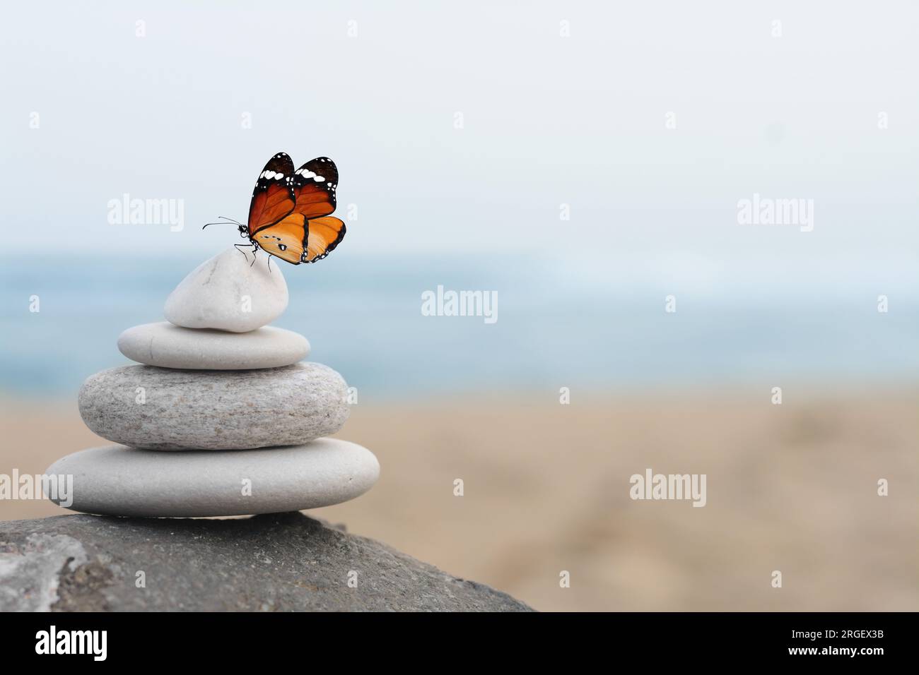 Peace and harmony. Stacked pebbles on sand and beautiful butterfly near ...
