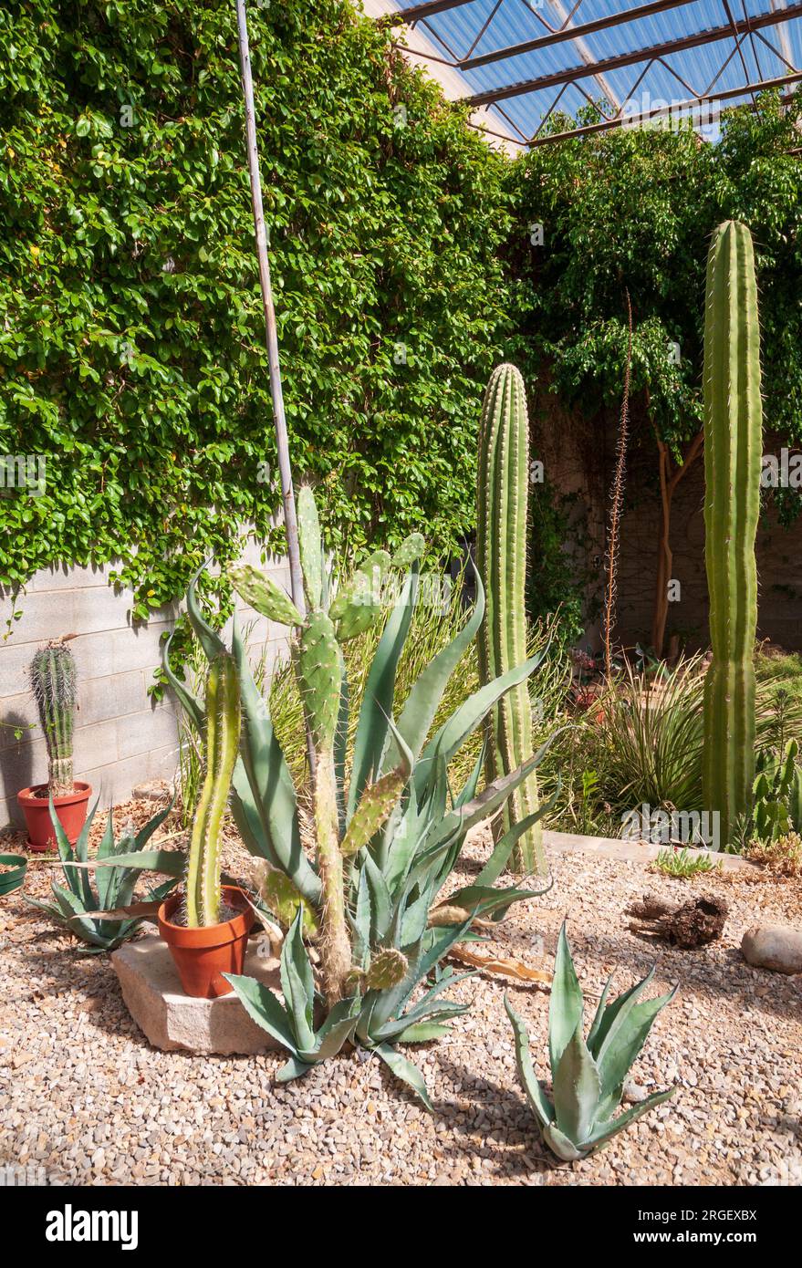 Living Desert Zoo Gardens State Park in New Mexico Stock Photo - Alamy