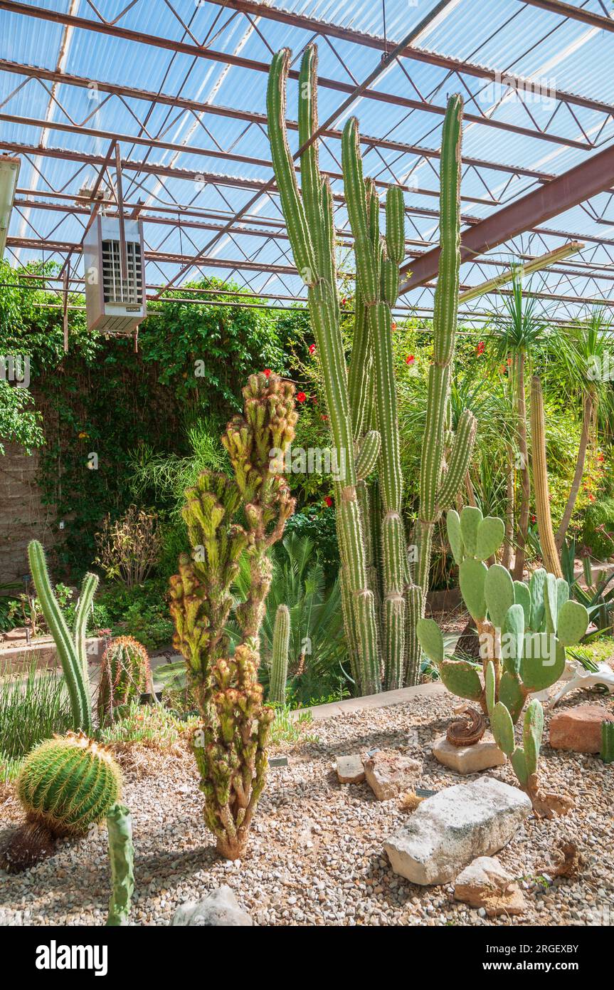 Living Desert Zoo Gardens State Park in New Mexico Stock Photo - Alamy