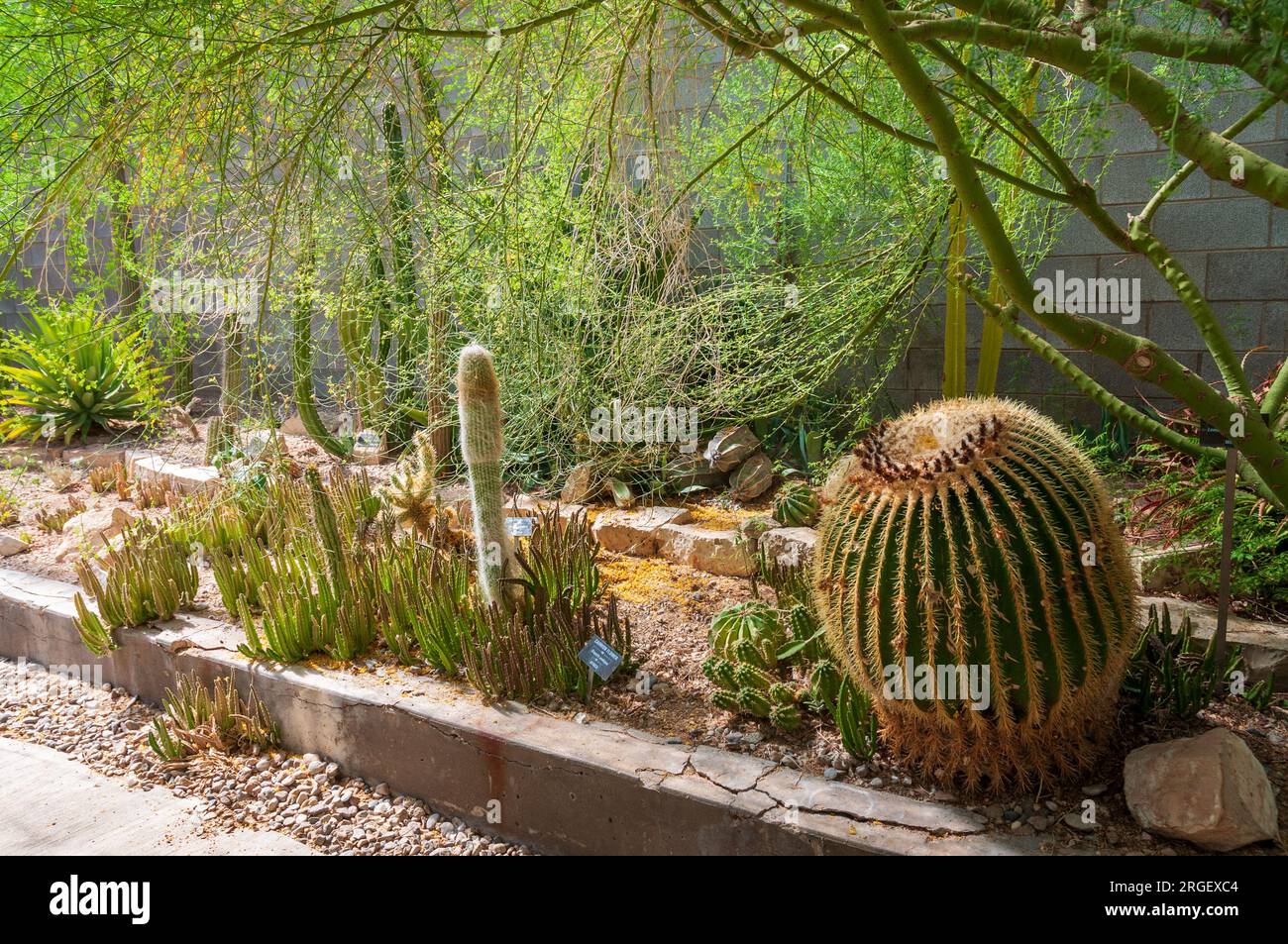 Living Desert Zoo Gardens State Park in New Mexico Stock Photo - Alamy