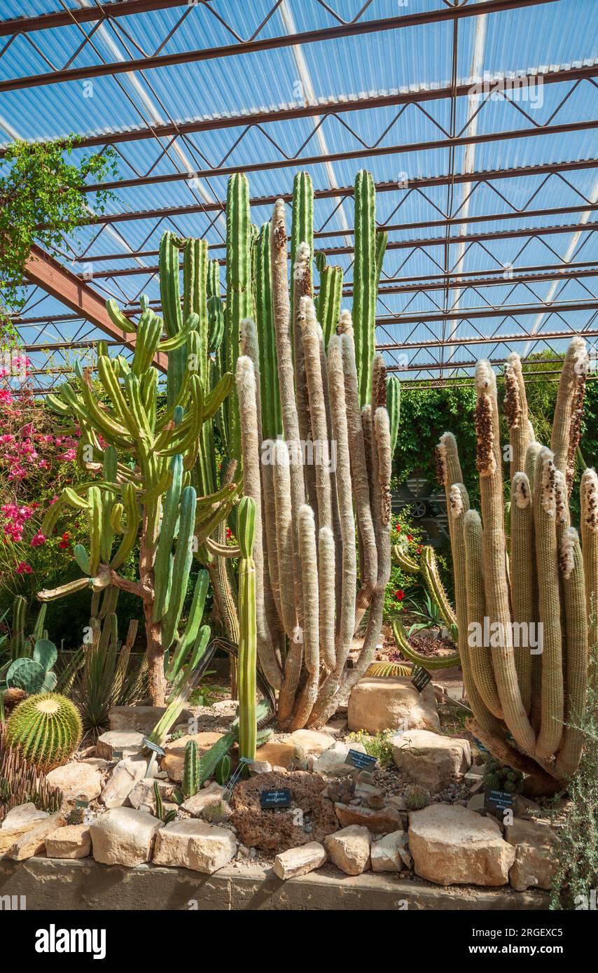 Living Desert Zoo Gardens State Park in New Mexico Stock Photo - Alamy