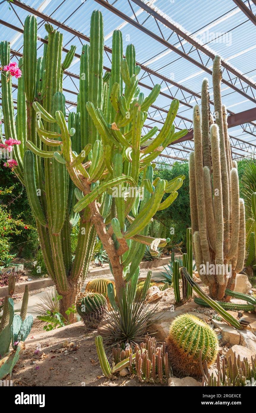 Living Desert Zoo Gardens State Park in New Mexico Stock Photo - Alamy