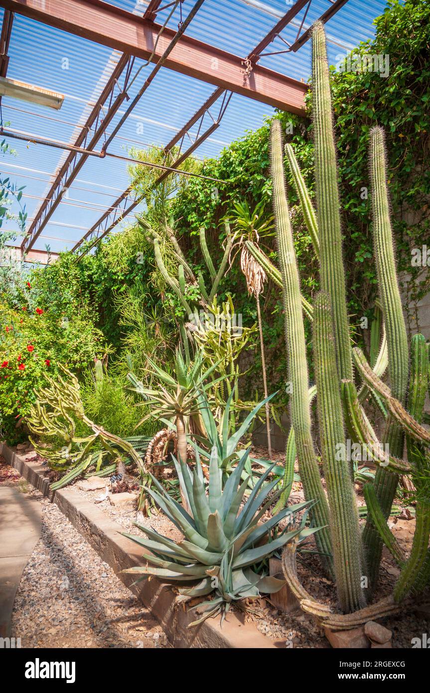 Living Desert Zoo Gardens State Park in New Mexico Stock Photo - Alamy