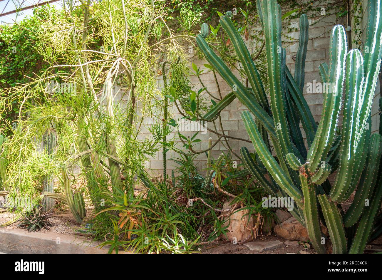 Living Desert Zoo Gardens State Park in New Mexico Stock Photo - Alamy
